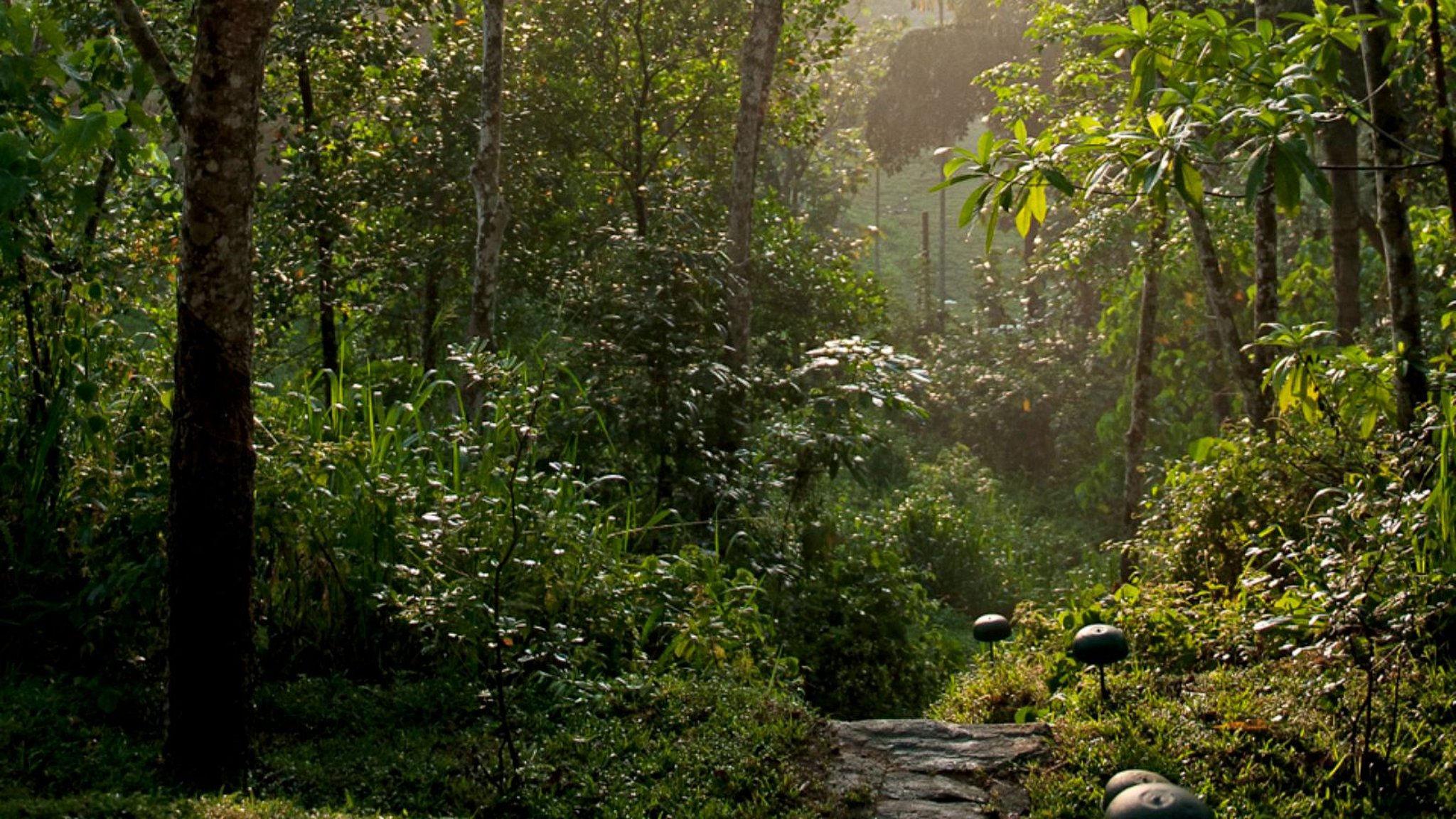 Guava House in Kandy & Hill Country, Sri Lanka - 5 bedrooms