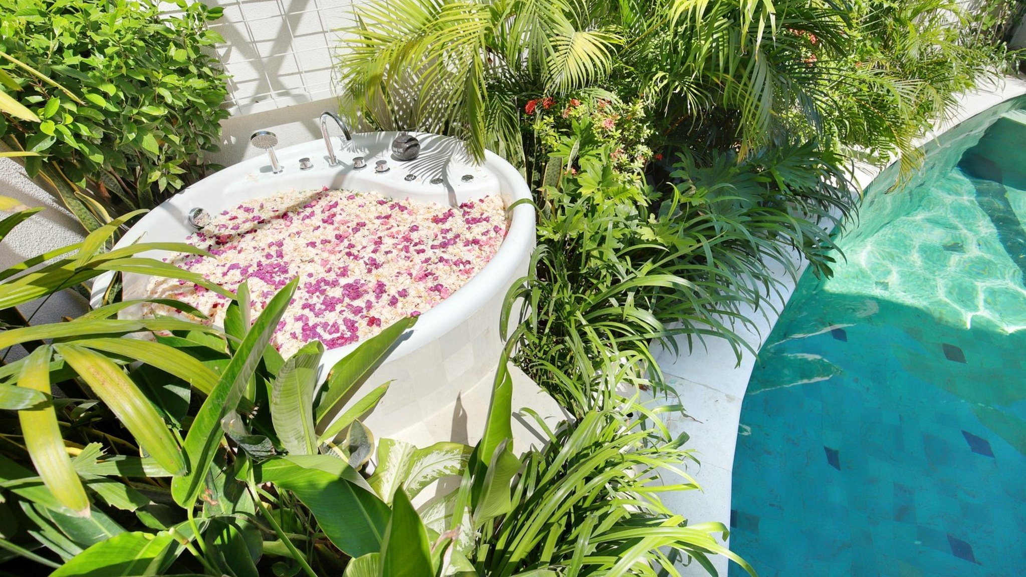 Sini Vie Smart Villa One in Kerobokan, Bali - 1 bedrooms - Best Price ...